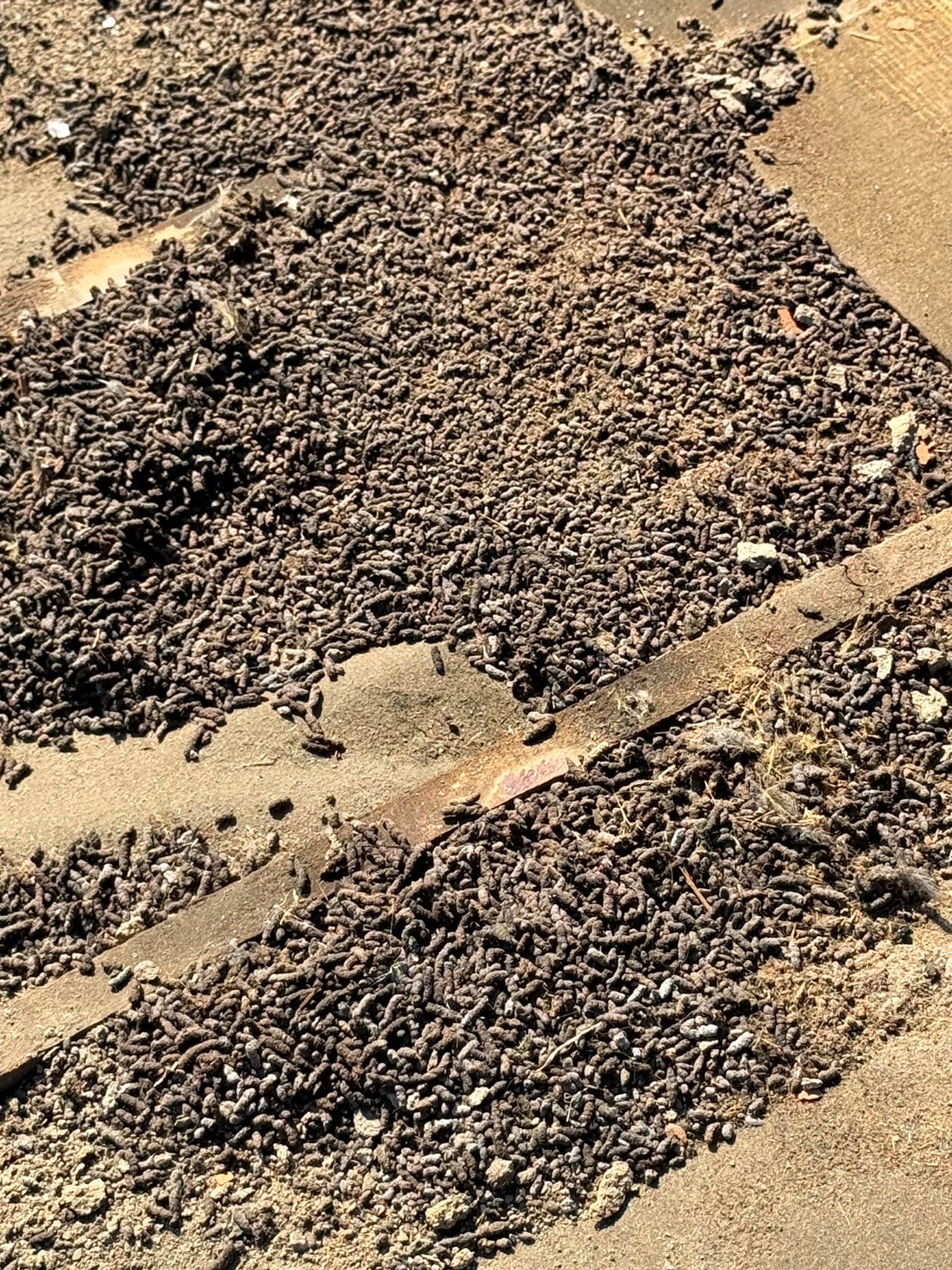 栃木県の屋根改修工事 ｜ 屋根塗装・外壁塗装のエブリス 屋根外壁塗装会社